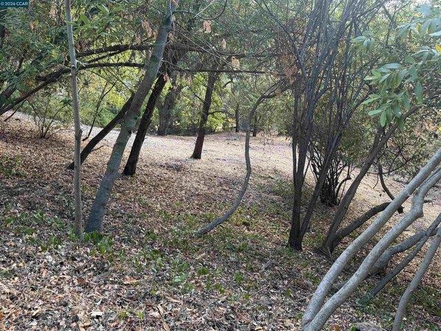 Ridge Rd, Lafayette, CA 94549