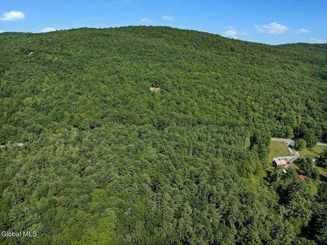 Ridge Rd Lot 24, Lake George, NY 12804