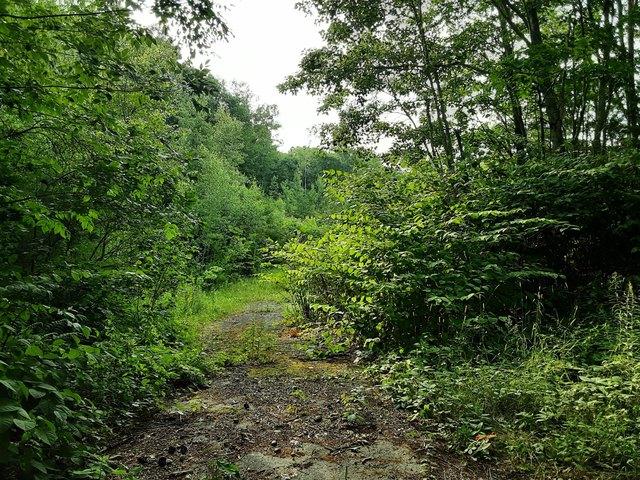 Ridge Rd Lot 2, Jefferson, ME 04348