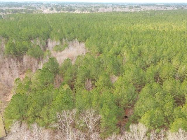 Ridge Rd Lot 8, Columbus, MS 39705