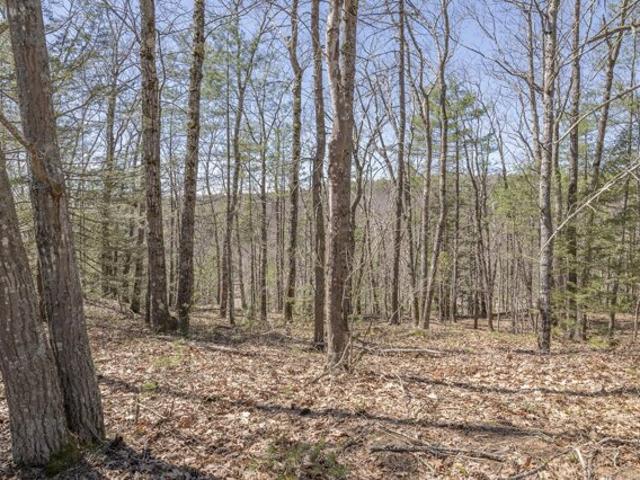 Ridge Rd Lot,bath, Plot For Sale