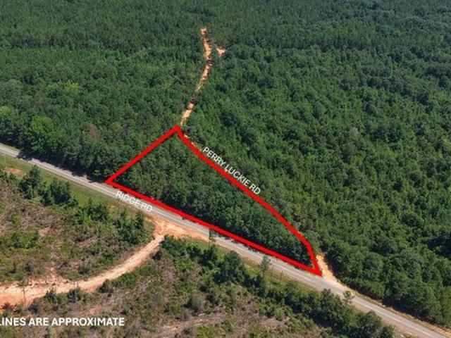 Ridge Rd Parcel C, Greenville, AL 36037