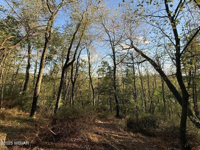 Ridge Rd Parcel,cogan Station, Plot For Sale