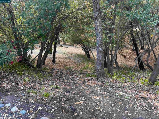 Ridge Road, Lafayette CA 94549