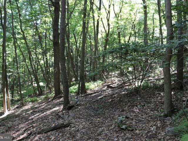 Ridge Run Lot,claysburg, Plot For Sale