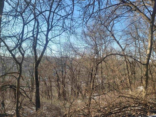 Ridge St, Galena, IL 61036