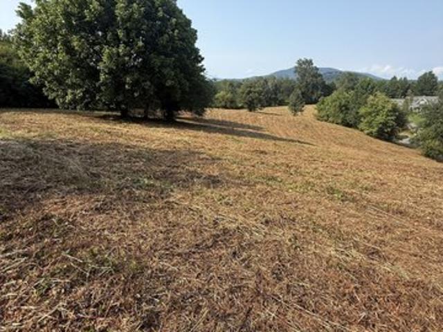 Ridgemont Ln, Ellijay, GA 30536