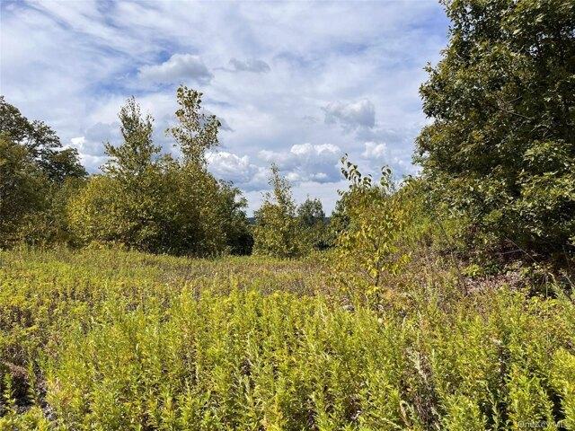 Ridgecrest Rd, Lake Peekskill, Plot For Sale