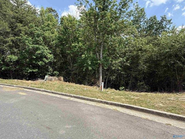 Ridgefield Cir Lot 19, Guntersville, AL 35976