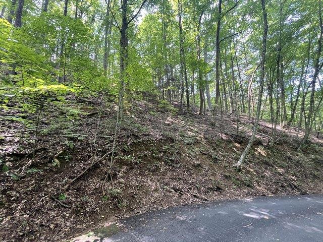 Ridgefield Dr Lot 334, Sevierville, TN 37876