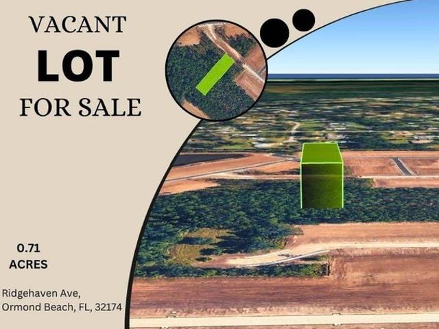 Ridgehaven Ave, Ormond Beach, FL 32174