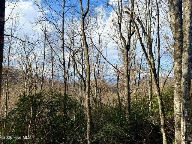 Ridgeline Dr, Brasstown, NC 28902