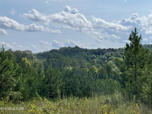 Ridgeline Dr, Vonore, TN 37885