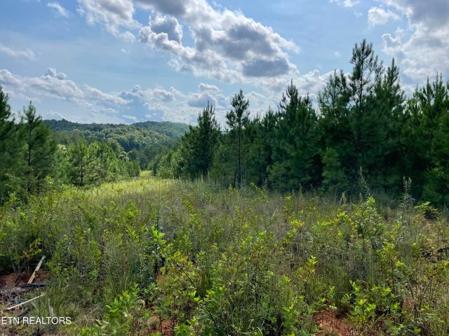 Ridgeline Drive, Vonore, TN 37885