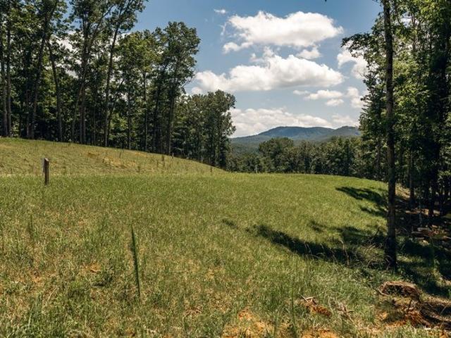 Ridges of Blue Rdg Lot 133, Morganton, GA 30560