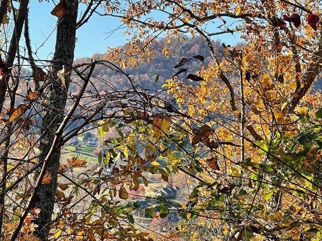 Ridges Lot M, Hayesville, Plot For Sale
