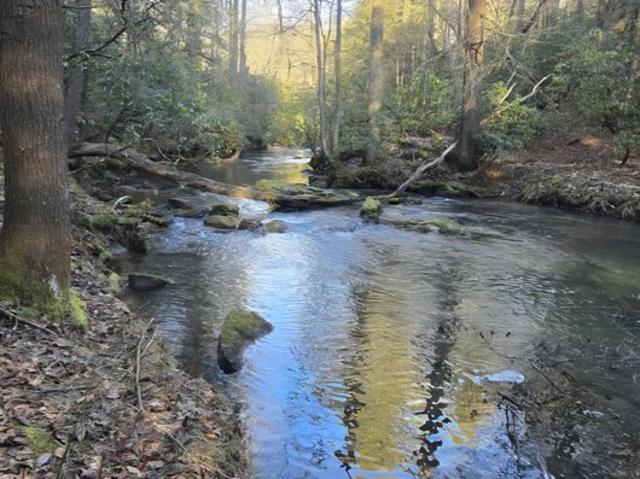 Ridgevale Ln, Dayton, TN 37321