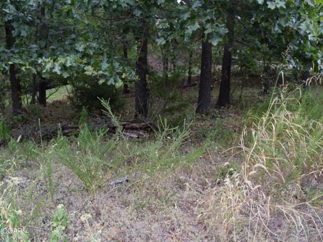 Ridgeview Ct Lot 21, Joplin, MO 64804