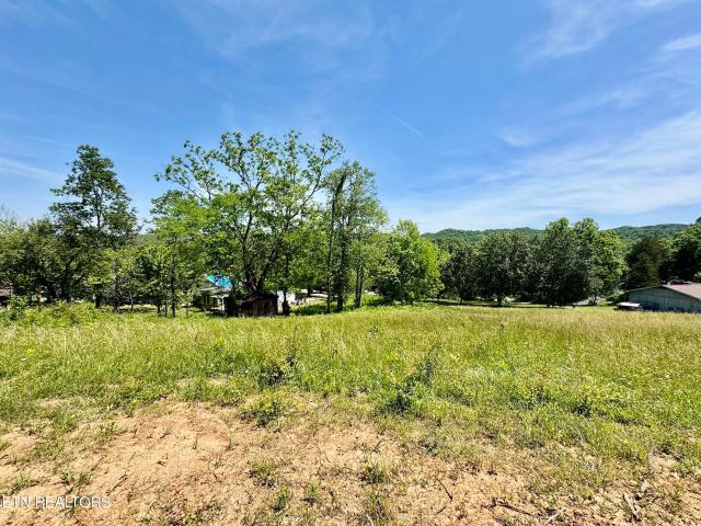Ridgeview Drive, Clinton, TN 37716