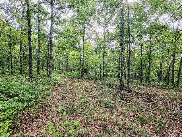 Ridgewood Dr, McEwen, TN 37101