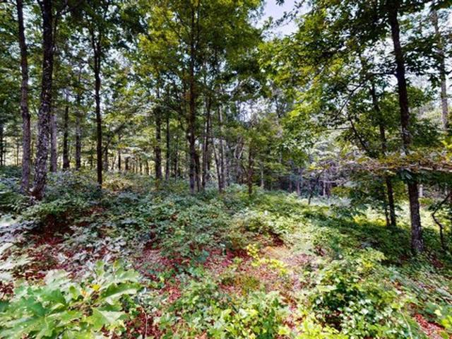 Ridgewood Dr, McEwen, TN 37101