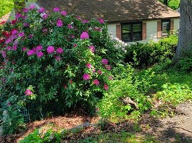 Ridgewood Rd, East Haddam, Home For Sale