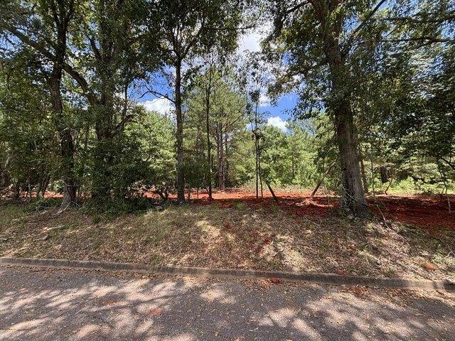 Rifle Range Rd, Troy, AL 36081