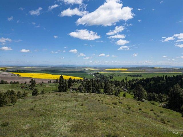 Riggin Rd, Ferdinand, ID 83526