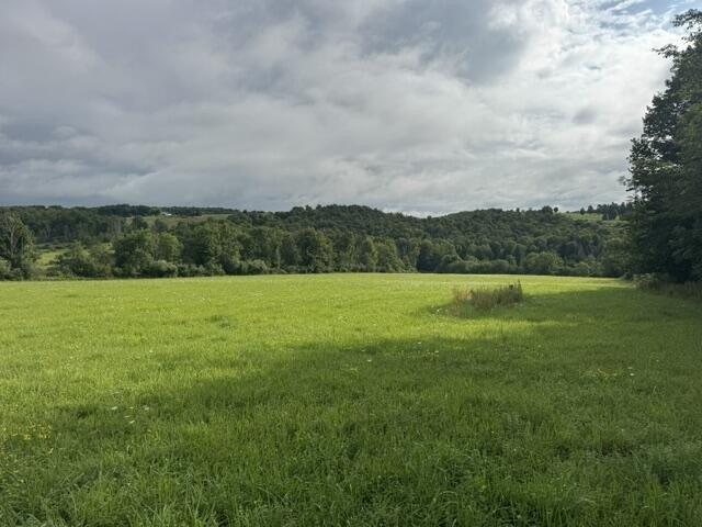 Riggs Rd, Ulster, PA 18850