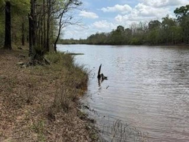 Rigolette Rd Lot 0, Pineville, LA 71360