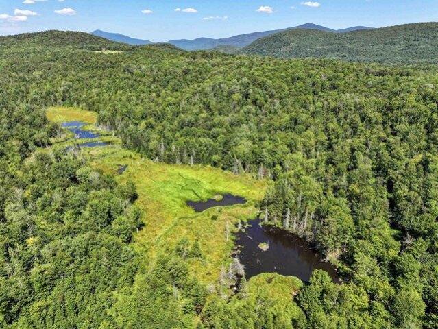 Ripton VT 05766 104606107