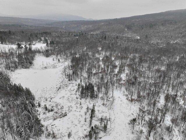 Ripton VT 05766 102594429