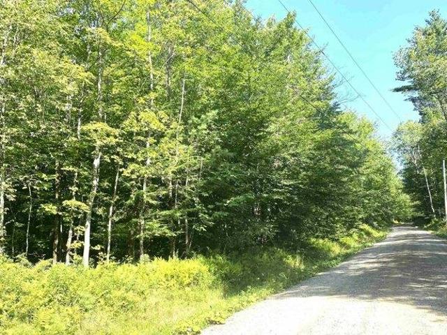 Ripton VT 05766 102727820