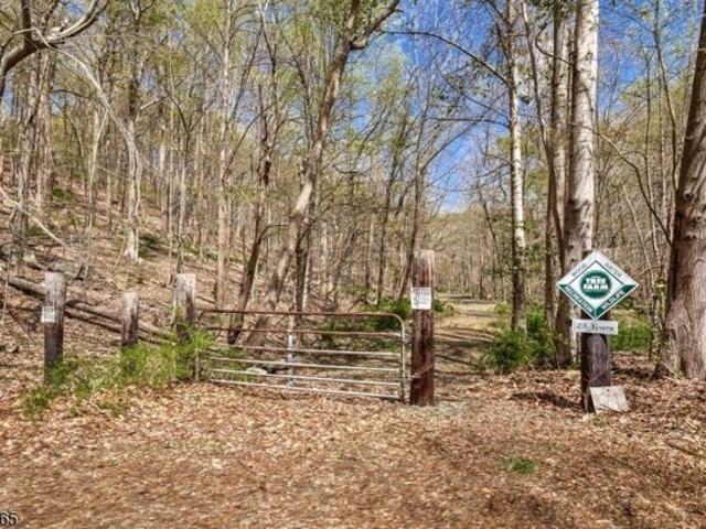 Rippling Brook Way, Bernardsville, Plot For Sale