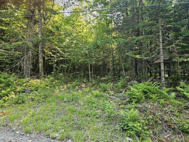 Rips Rd Lot A, Brownville, Plot For Sale