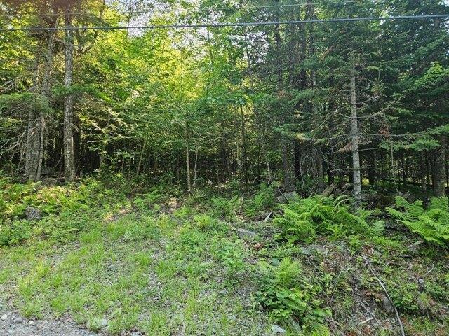 Rips Rd Lot B, Brownville, Plot For Sale
