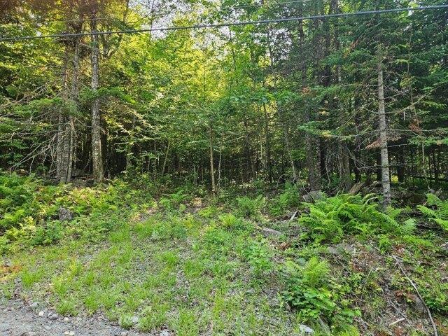 Rips Rd Lot C, Brownville, Plot For Sale