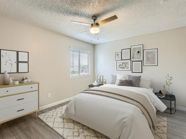 Rise North Mountain 1 Bedroom Apartment for Rent at 9202 N 19th Ave, Phoenix, AZ 85021