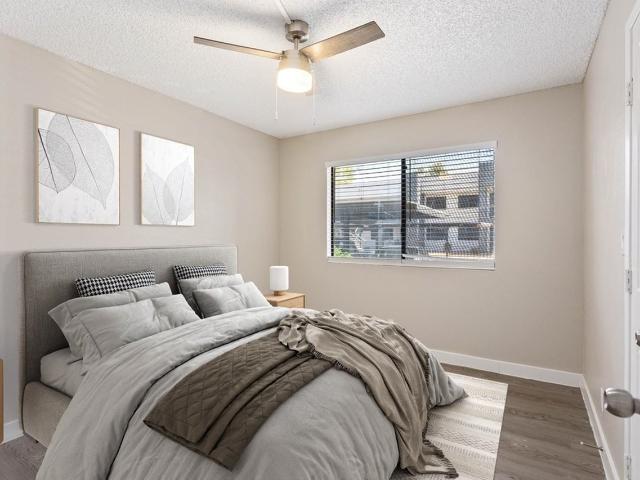 Rise at Estrella Park 2 Bedroom Apartment for Rent at 1801 N 83rd Ave, Phoenix, AZ 85035