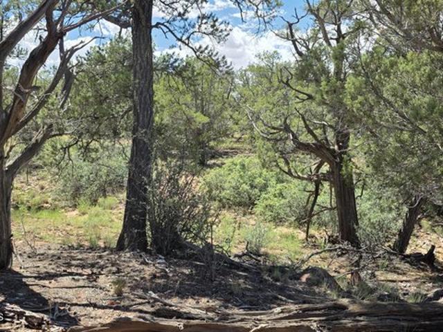Rising Rock Rd Lot 51, Ash Fork, AZ 86320