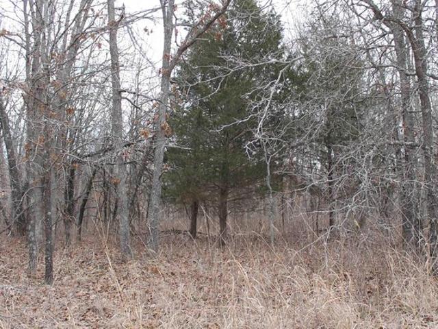 Ritchie Ln Unit 2173, Edwards, MO 65326