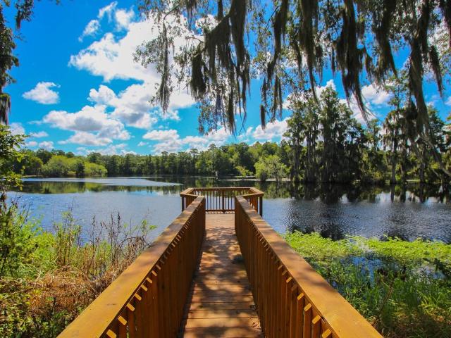 River View Apartments 1 Bedroom Apartment for Rent at 5659 Del Prado Dr, Tampa, FL 33617