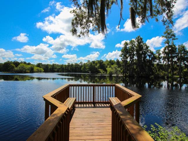 River View Apartments 2 Bedroom Apartment for Rent at 5659 Del Prado Dr, Tampa, FL 33617