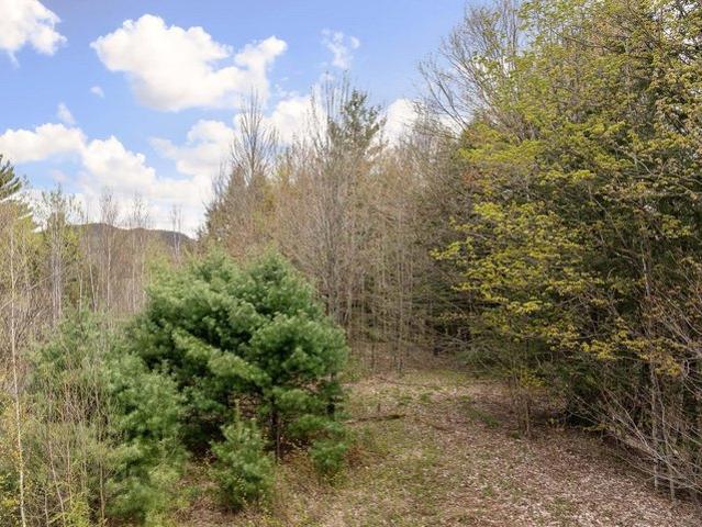 River View Rd, Cambridge, VT 05464