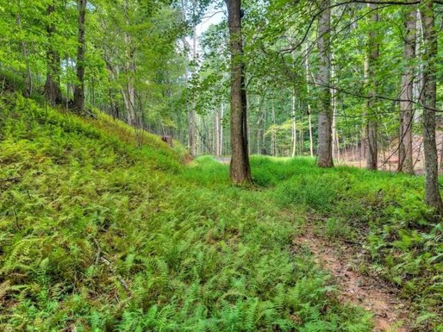 River Way, Blue Ridge, GA 30513