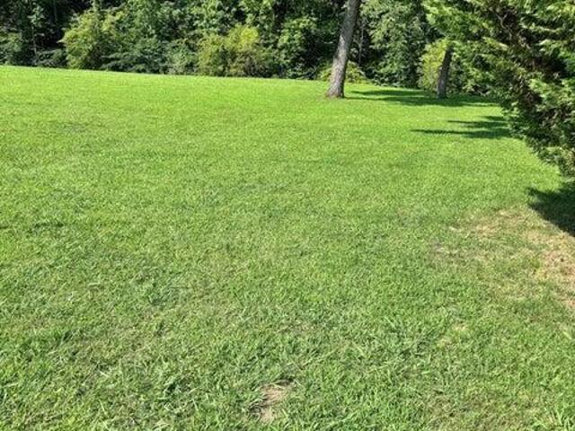 River Bank Rd 34, Pigeon Forge, TN 37863