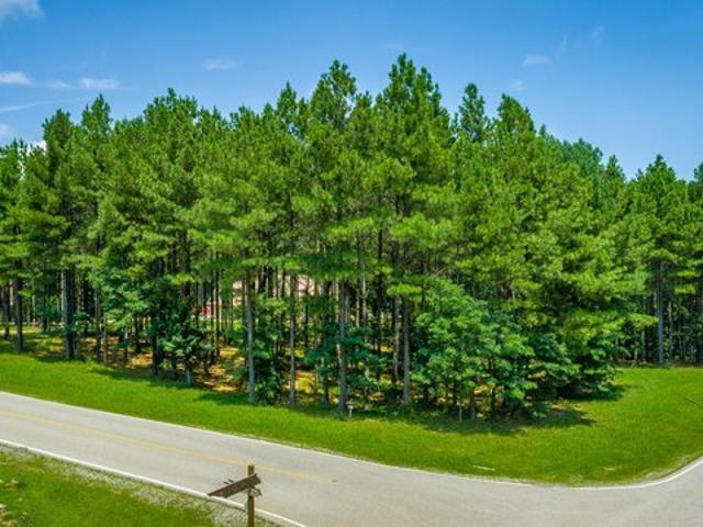 River Bluffs Dr Lot RB74, Jasper, TN 37347