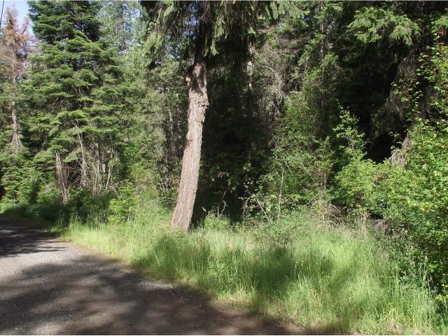 River Canyon RD