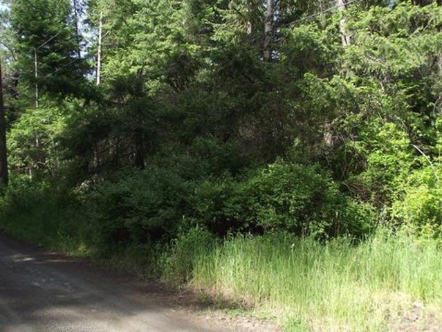 River Canyon Rd, Imnaha, OR 97842