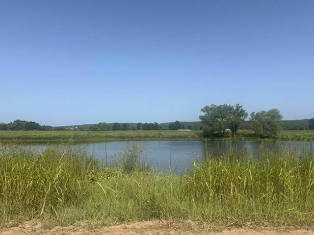 River Drift Lot 10, Heber Springs, AR 72543